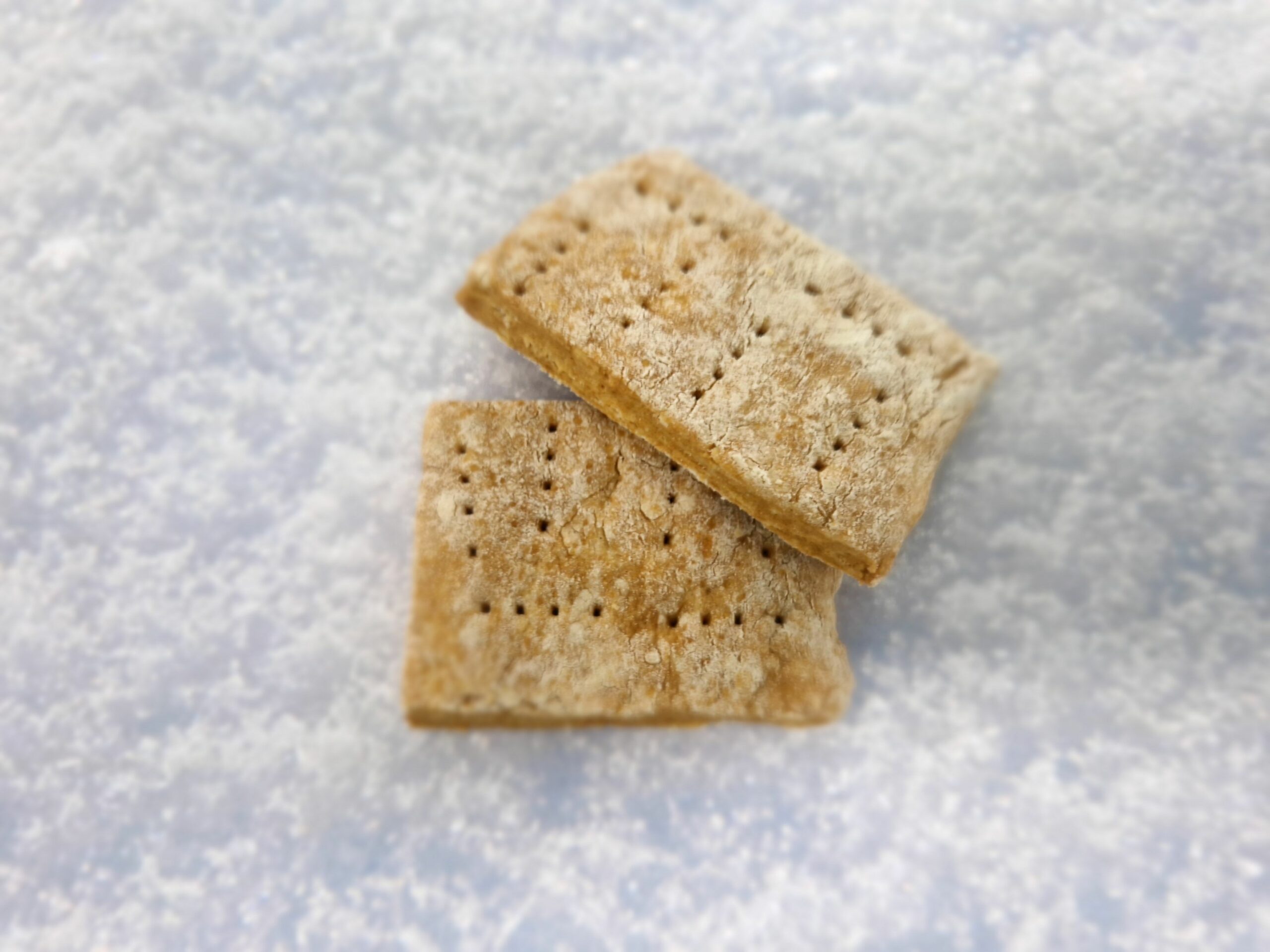 Antarctic Sledging Biscuits - PhunkyFoods